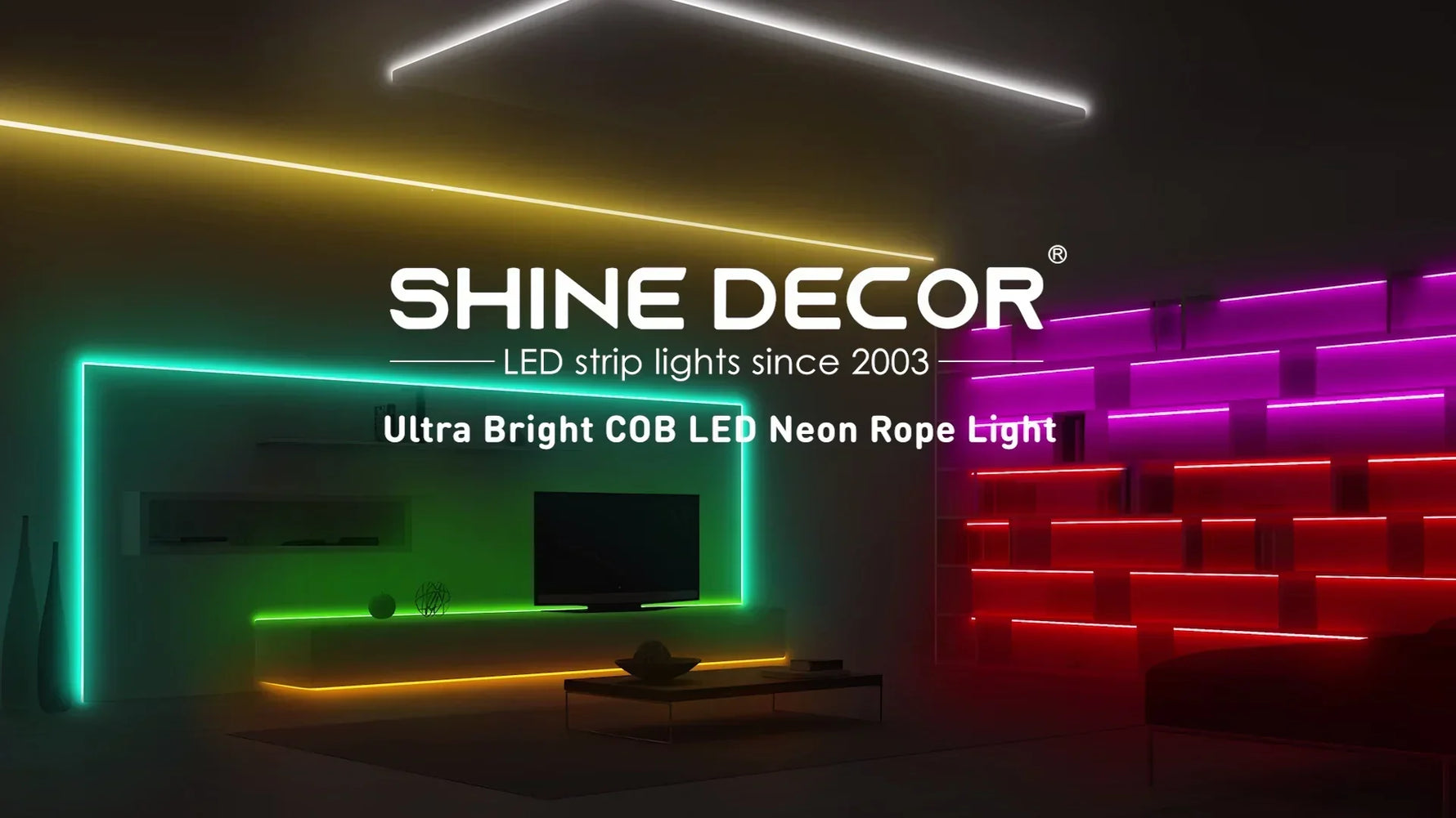 ETL/CE Listed 120V/230V Led Neon Rope Light/ Led Strip, IP65 – Shine Decor